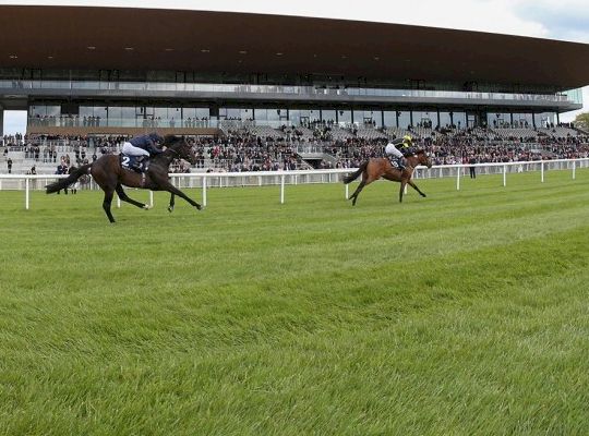 Race & Stay | Official Curragh Racing Hotels and Packages to Suit all ...