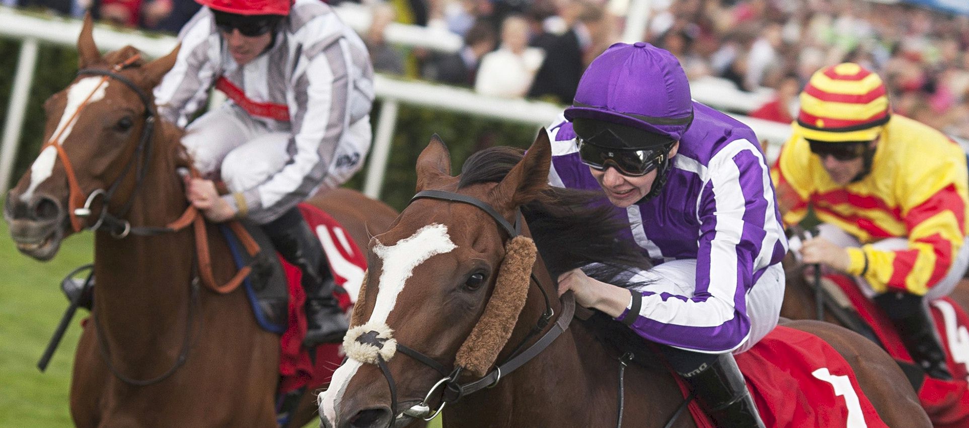 Race & Stay | Official Irish Racing Tours and Packages to Suit all ...